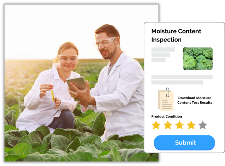Use Case: Supplier Quality Assurance Inspections